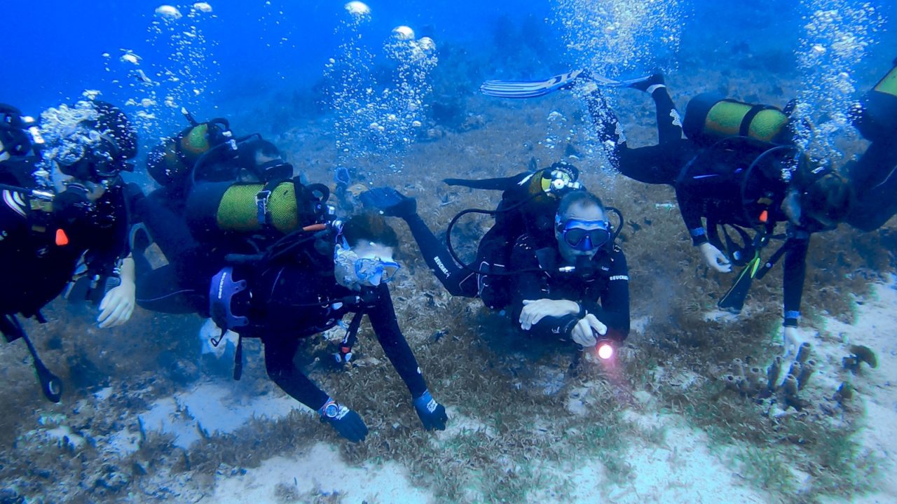 Alpha Plongée Martinique